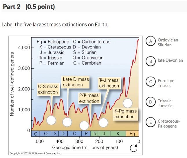 Solved How does a mass extinction event affect biodiversity | Chegg.com