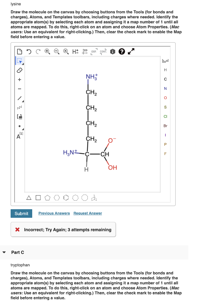 Solved lysine Draw the molecule on the canvas by choosing | Chegg.com