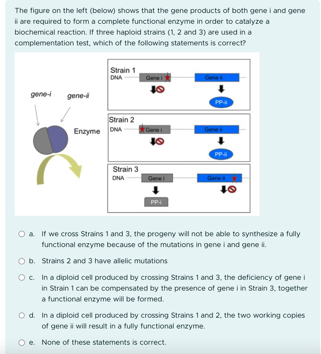 Solved The figure on the left (below) shows that the gene | Chegg.com