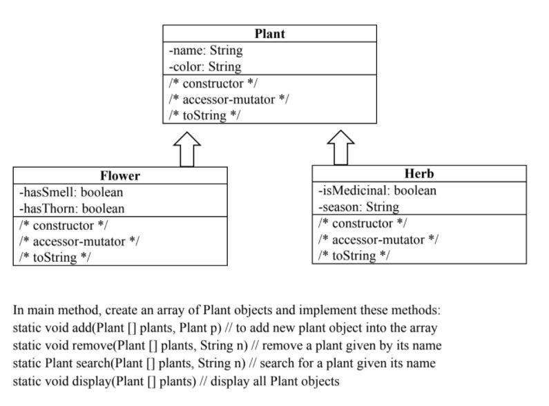 Solved Plant -name: String -color: String /* constructor */ | Chegg.com