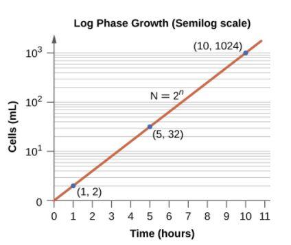 Solved This graph illustrates population growth of cells as | Chegg.com