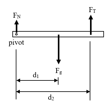 Solved a) Fn+Ft=Fg in magnitude. Please explain why this is | Chegg.com