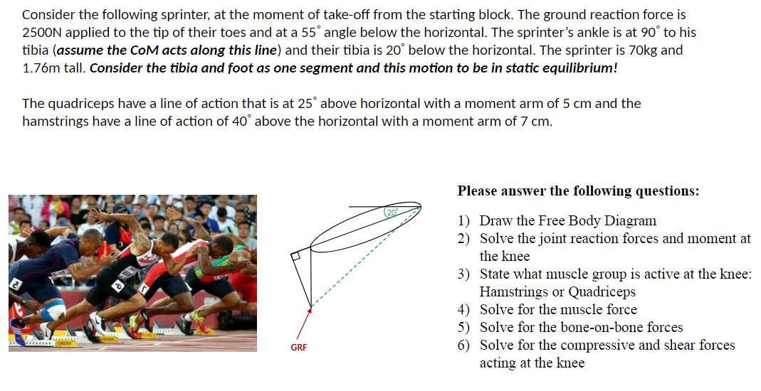 Consider the following sprinter, at the moment of | Chegg.com