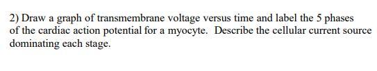 Solved 2) Draw a graph of transmembrane voltage versus time | Chegg.com