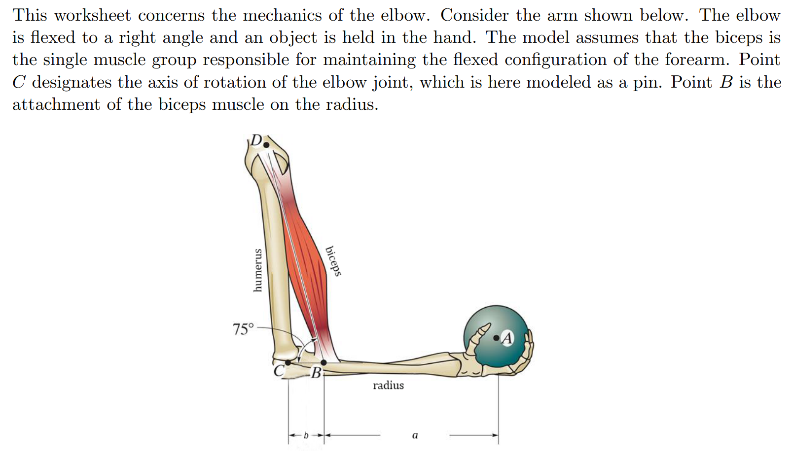 Solved A. Sketch a free-body diagram that includes the | Chegg.com