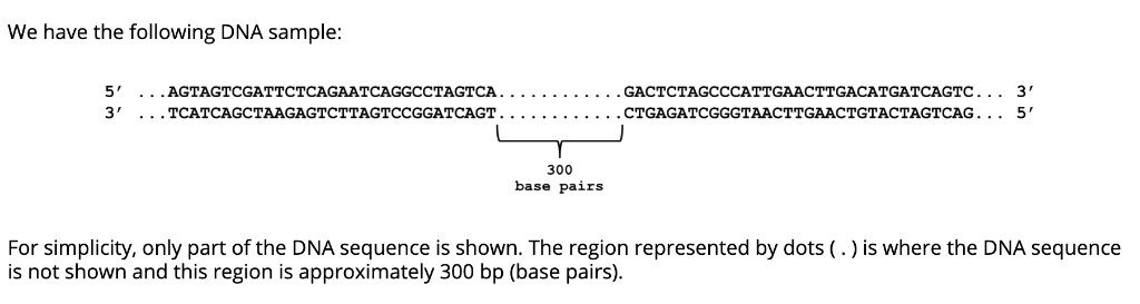 Solved The polymerase chain reaction (PCR) is an enzymatic, | Chegg.com