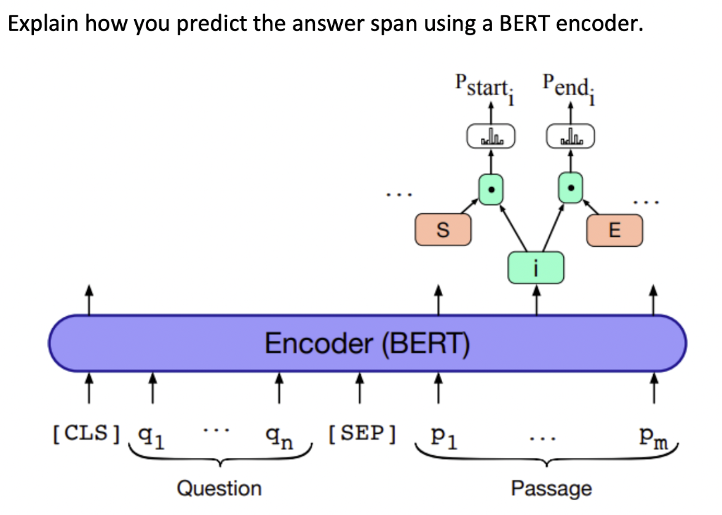 Solved Explain how you predict the answer span using a BERT | Chegg.com
