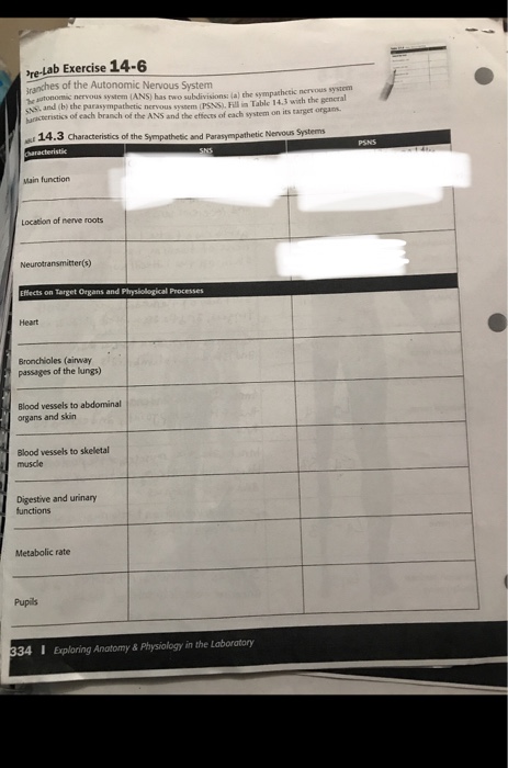 Solved Pre-Lab Exercise 14-6 ranches of the Autonomic | Chegg.com