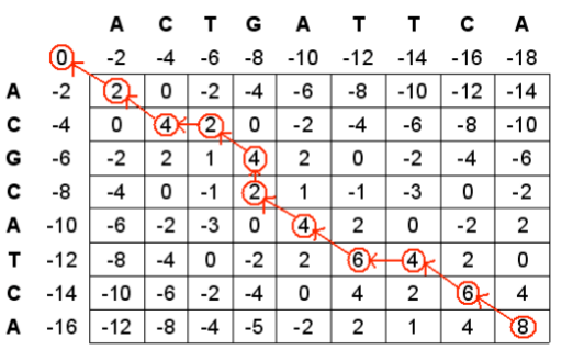 Solved Calculate the distance matrix from the following | Chegg.com