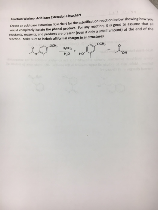 Solved Reaction Workup Acid Base Extraction Flowchart