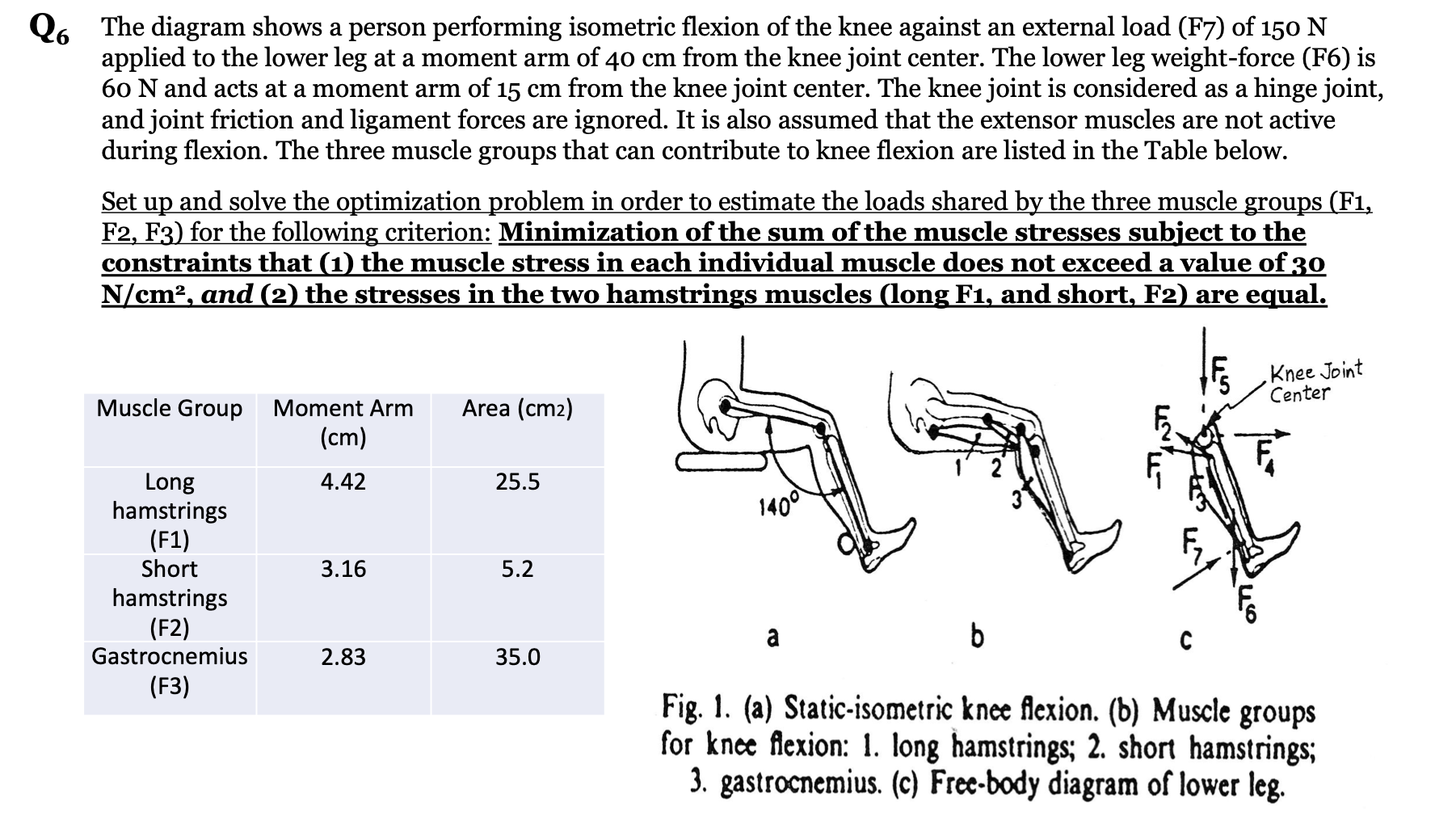 Solved The diagram shows a person performing isometric | Chegg.com