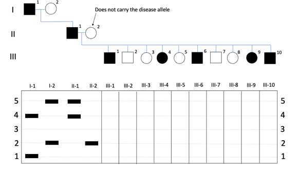 Solved What are the inheritance patterns in this diagram ( | Chegg.com