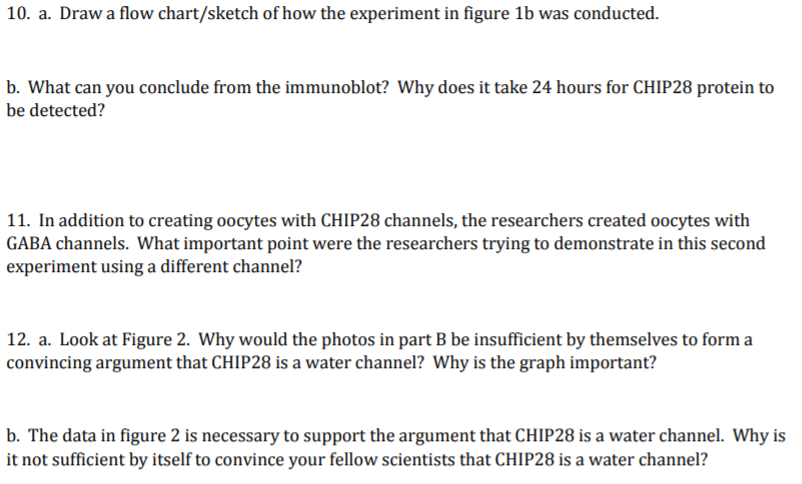 CHIP repeat-2 CHIP repeat-1 00000-COOH HẠNH RBC | Chegg.com