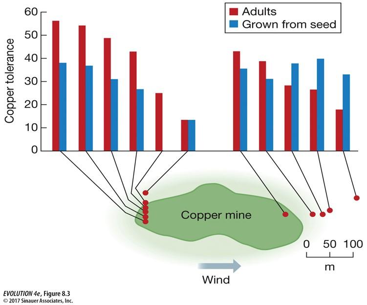 Solved 2a) Soil concentrations of copper, a metal that is | Chegg.com
