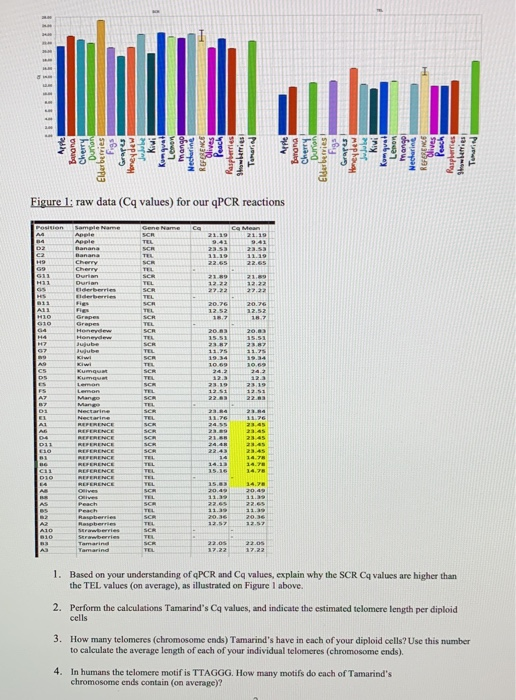 Solved Eigure l: raw data (Cq values) for our qPCR reactions | Chegg.com