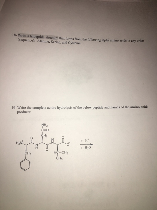 Solved 18- Write a tripeptide structure that forms from the | Chegg.com