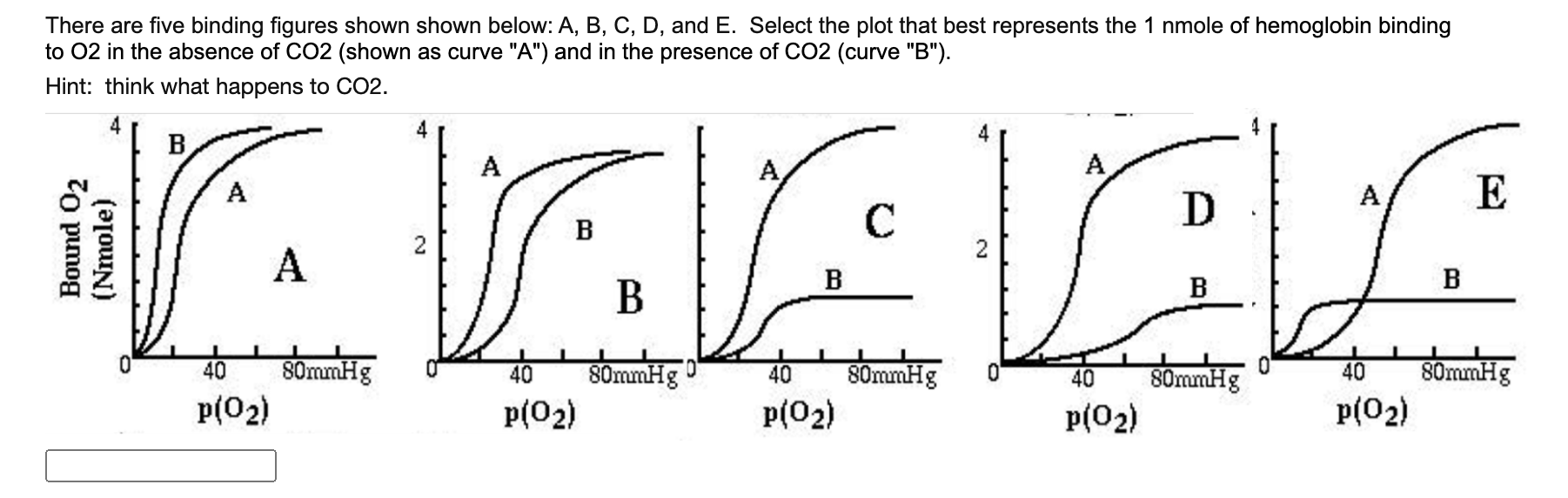 There are five binding figures shown shown below: A, | Chegg.com