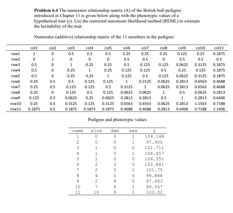 Problem 64 The Numerator Relationship Matrix A Of 