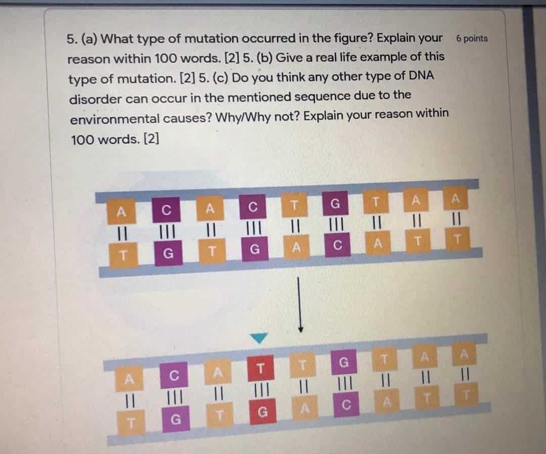Solved 5. (a) What type of mutation occurred in the figure? | Chegg.com