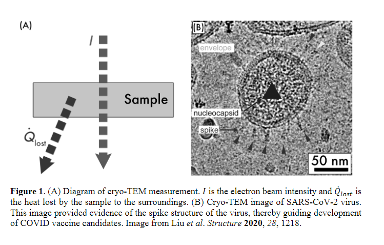 Figure 1. (A) Diagram of cryo-TEM measurement. I is | Chegg.com