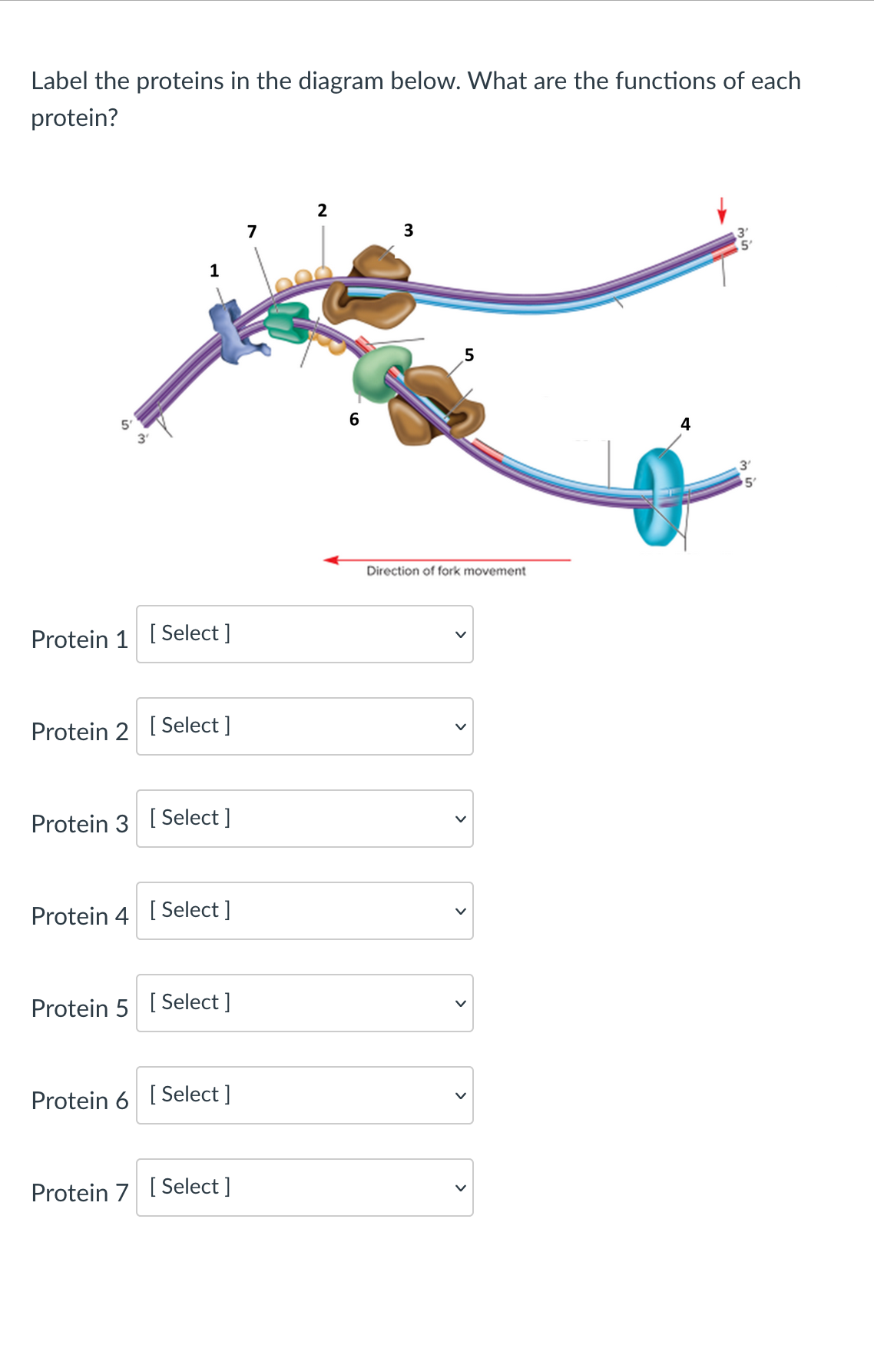 Solved Label the proteins in the diagram below. What are the | Chegg.com