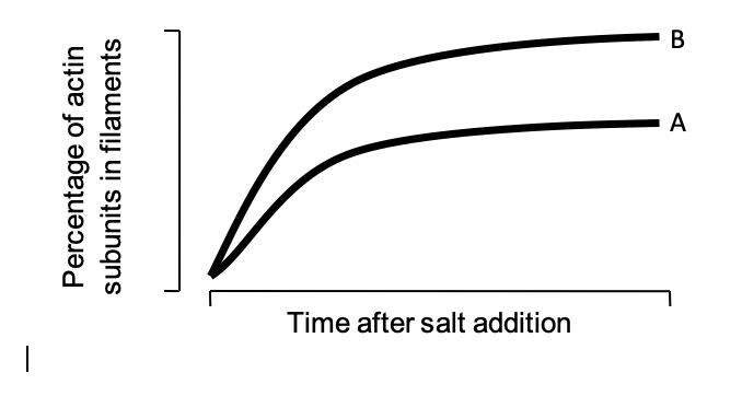 The Time Courses Of Seeded Actin Polymerization