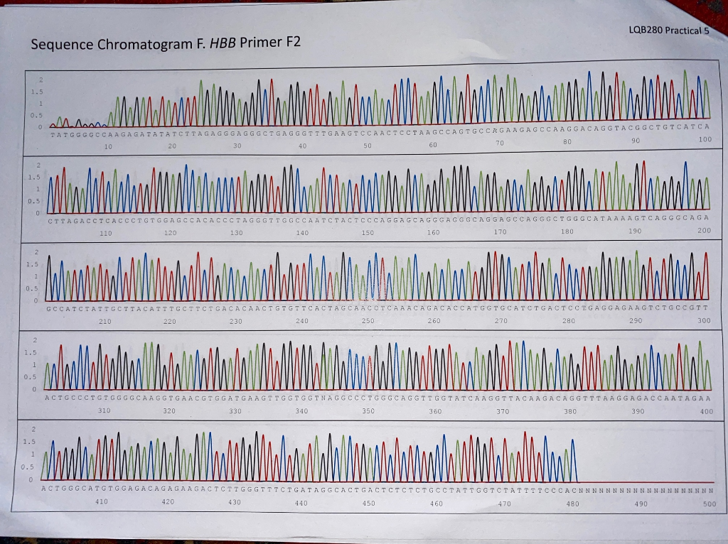 I need help with sequence chromatograms The below | Chegg.com