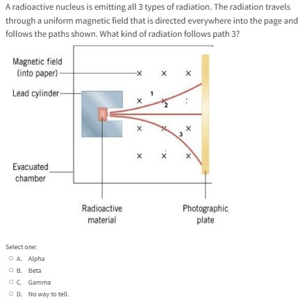 [Solved]: A radioactive nucleus is emitting all 3 types of r