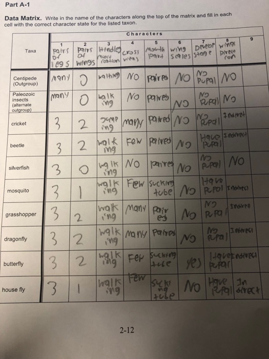 Solved Part A-1 Data Matrix. Write in the name of the | Chegg.com
