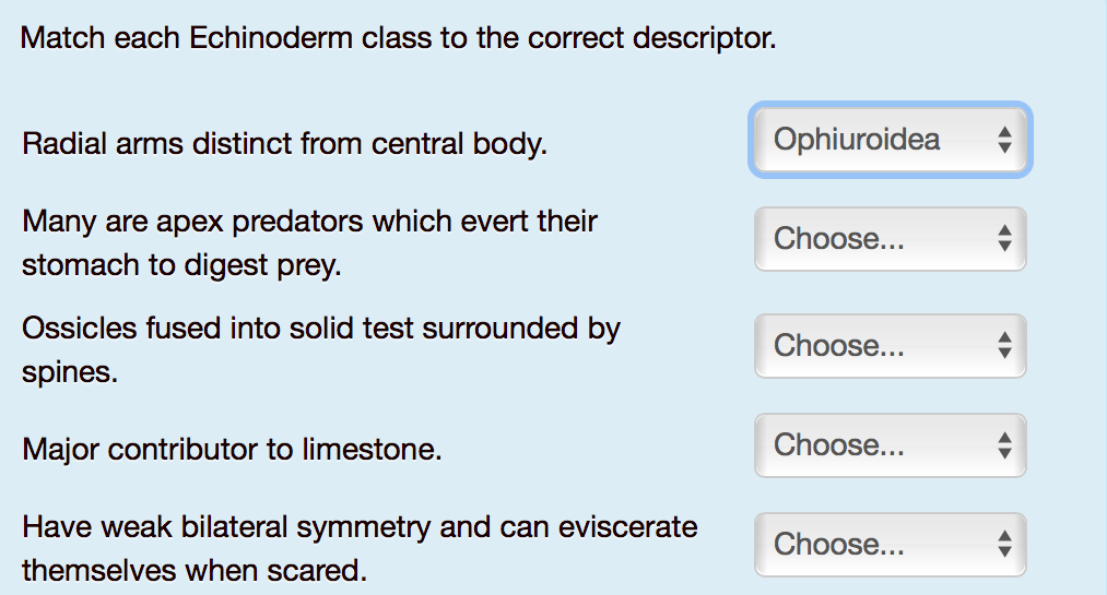 Solved Select all echinoderm synapomorphies. To get full | Chegg.com