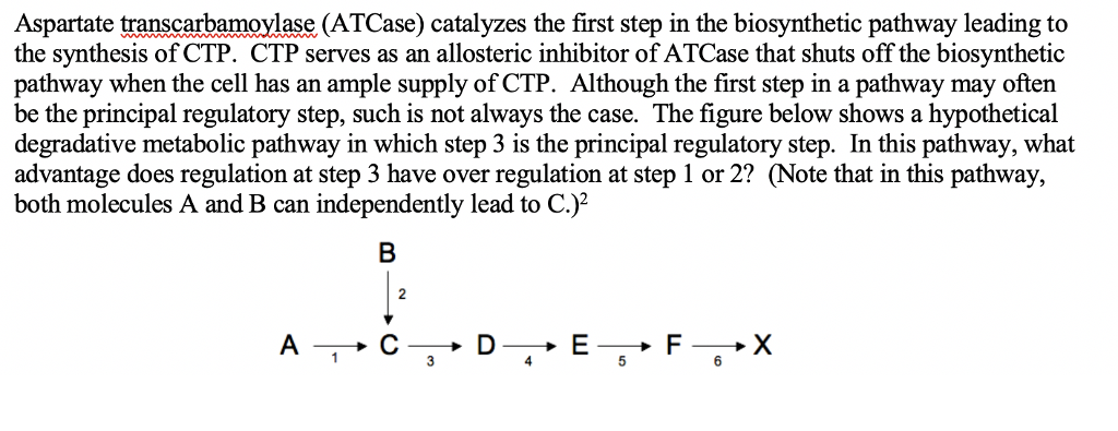 Solved Aspartate transcarbamoylase (ATCase) catalyzes the | Chegg.com