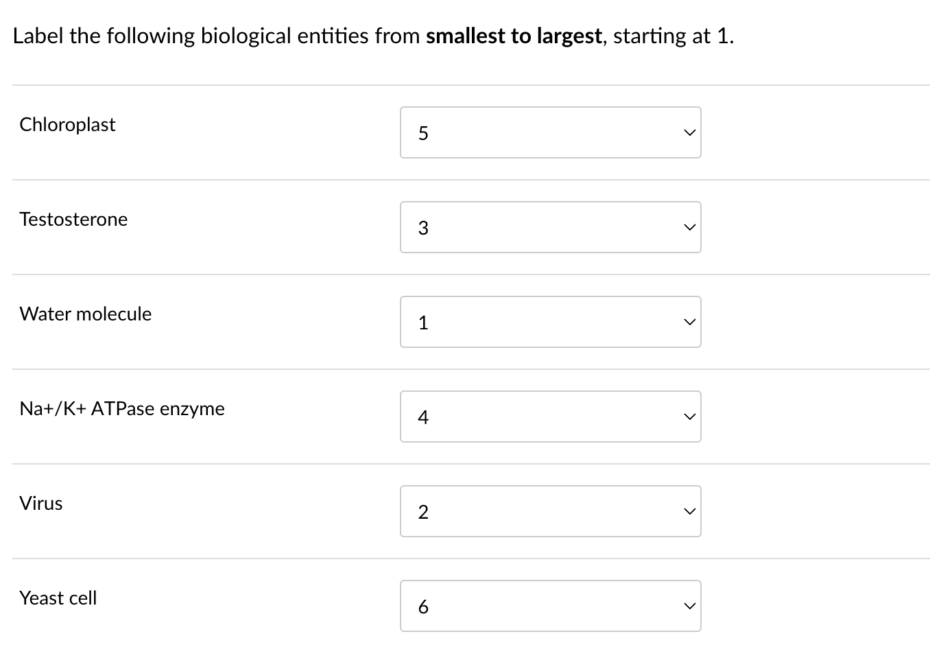 Solved Label the following biological entities from smallest | Chegg.com