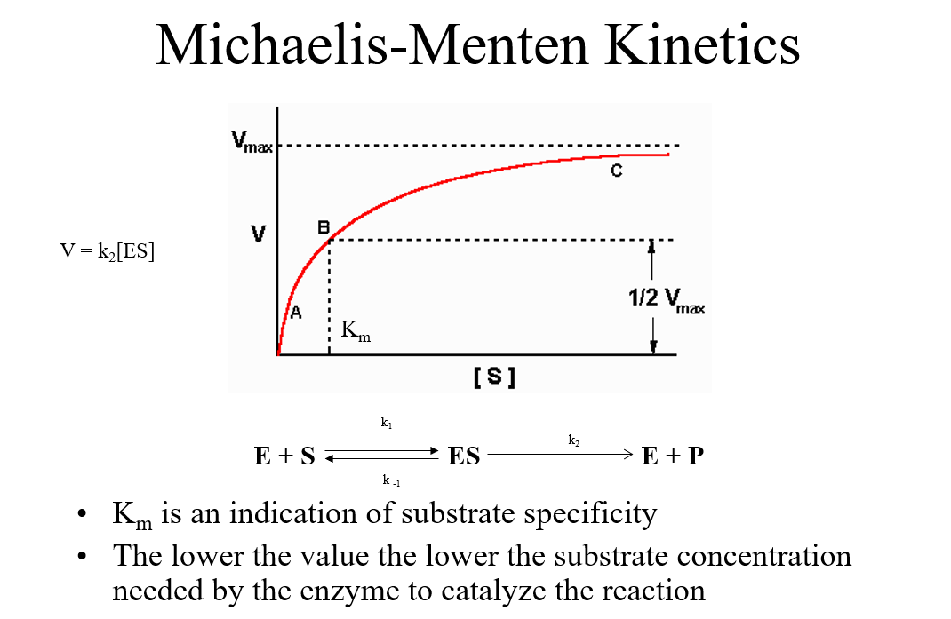 Solved You observe the microbial kinetic rate has the | Chegg.com