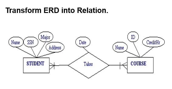 Solved Transform ERD into Relation. Major ID Name SSN Date | Chegg.com