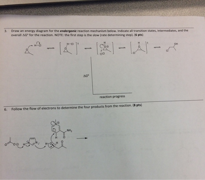Solved Draw an energy diagram for the endergonic reaction | Chegg.com