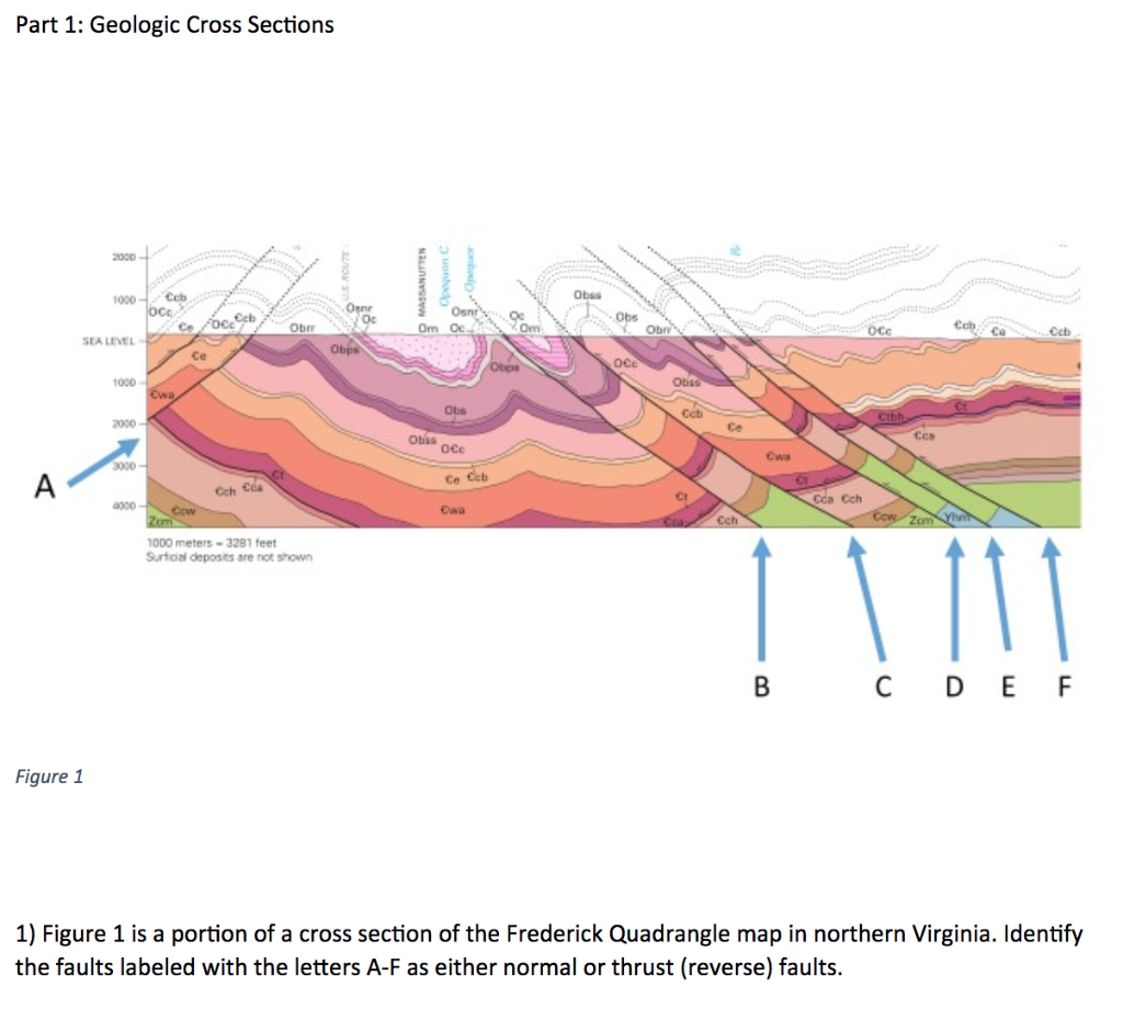 Solved Part 1: Geologic Cross Sections 2000 1000 Oba Cc 0cc | Chegg.com