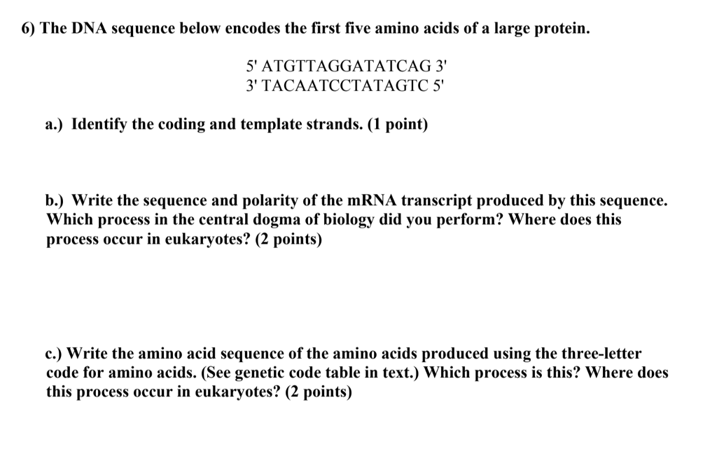 Solved 6) The DNA sequence below encodes the first five | Chegg.com