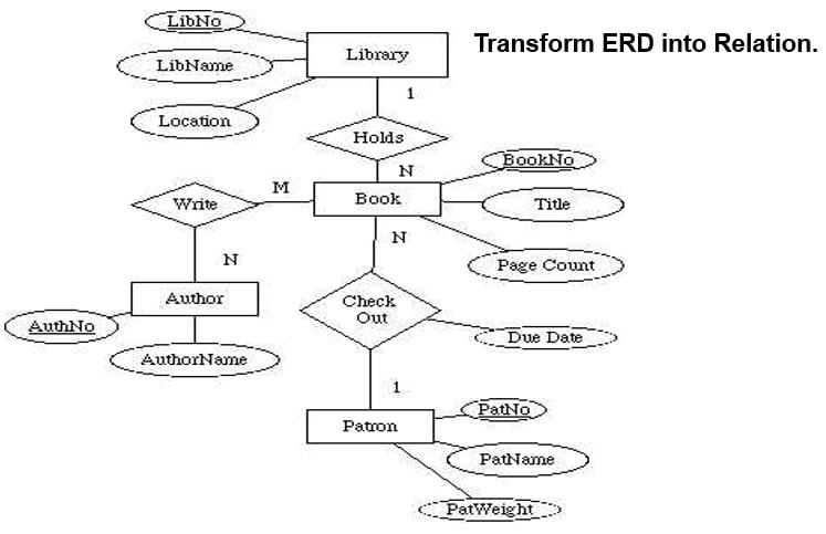 Solved LibNo Transform ERD into Relation. Library LibNane 1 | Chegg.com