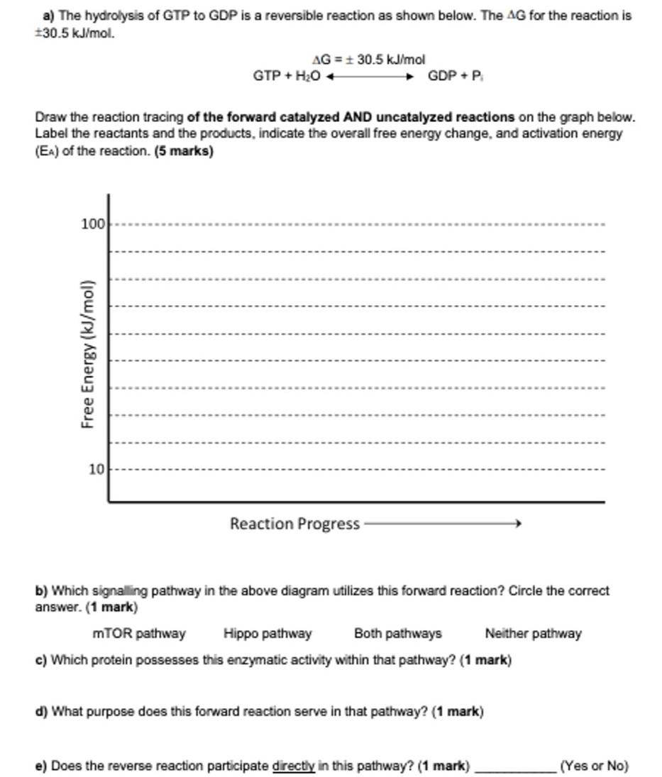 Solved a) The hydrolysis of GTP to GDP is a reversible | Chegg.com