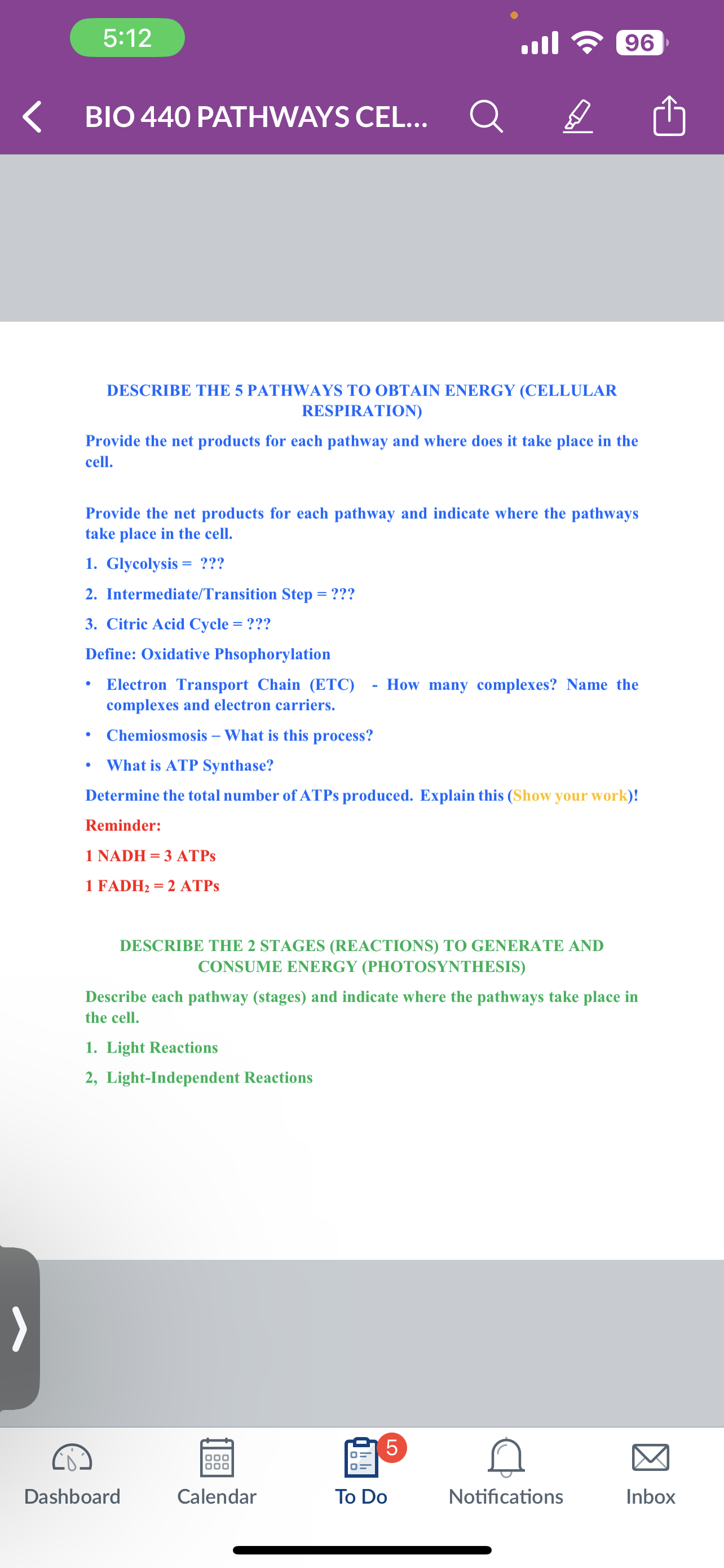 Solved DESCRIBE THE 5 PATHWAYS TO OBTAIN ENERGY (CELLULAR | Chegg.com