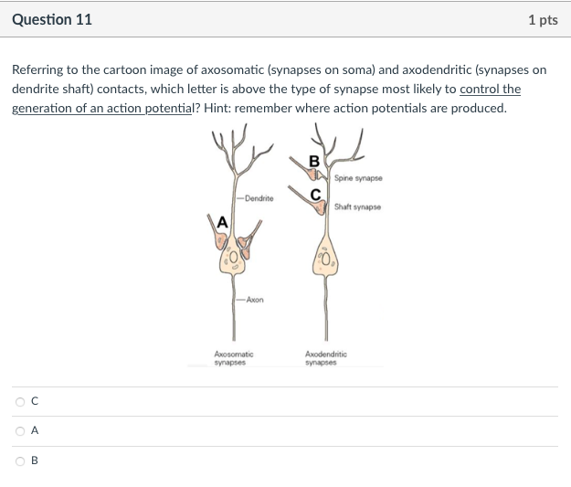 Solved Referring to the cartoon image of axosomatic | Chegg.com