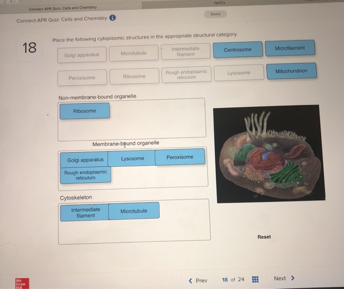 Solved: Connect APR Quiz Cells And Chemistry Connect APR Q... | Chegg.com Solved: Connect APR Quiz Cells And Chemistry Connect APR Q... | Chegg.com