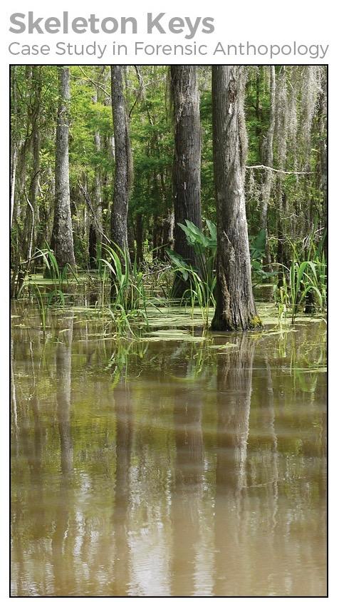 Solved Forensic Anthropology Case Study Background | Chegg.com