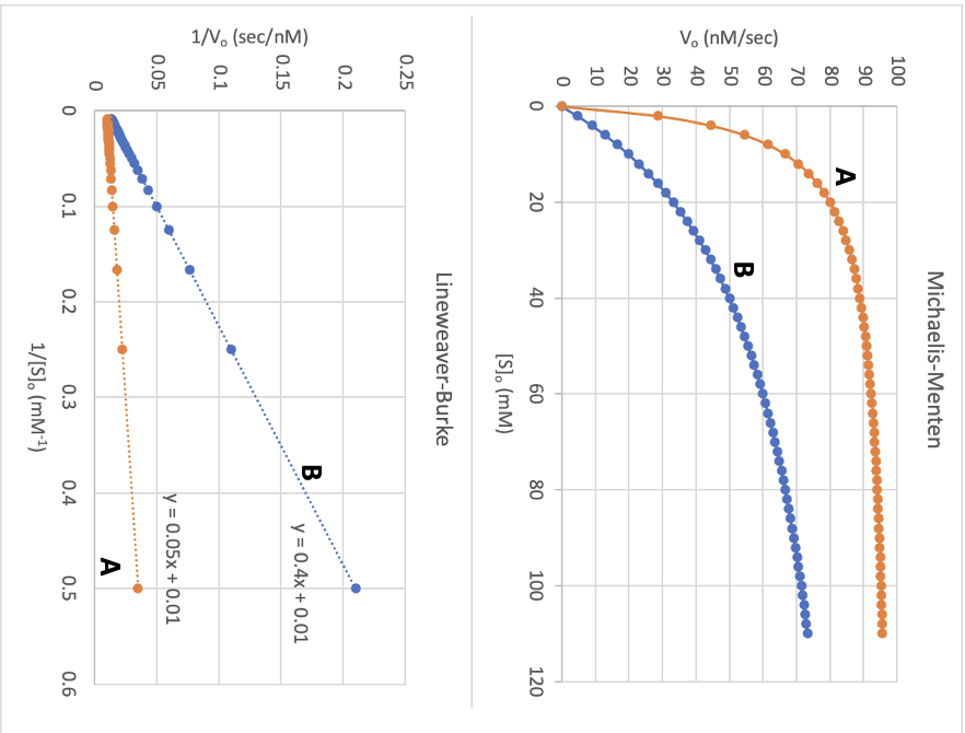 Solved Initial rate measurements are shown below for the | Chegg.com