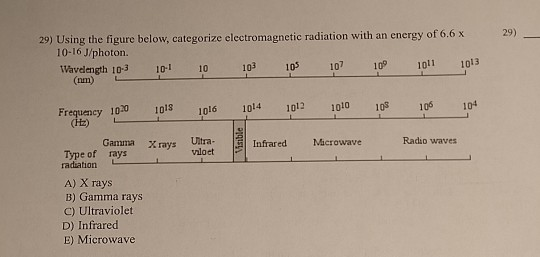 Solved 29) 29) Using the figure below, categorize | Chegg.com
