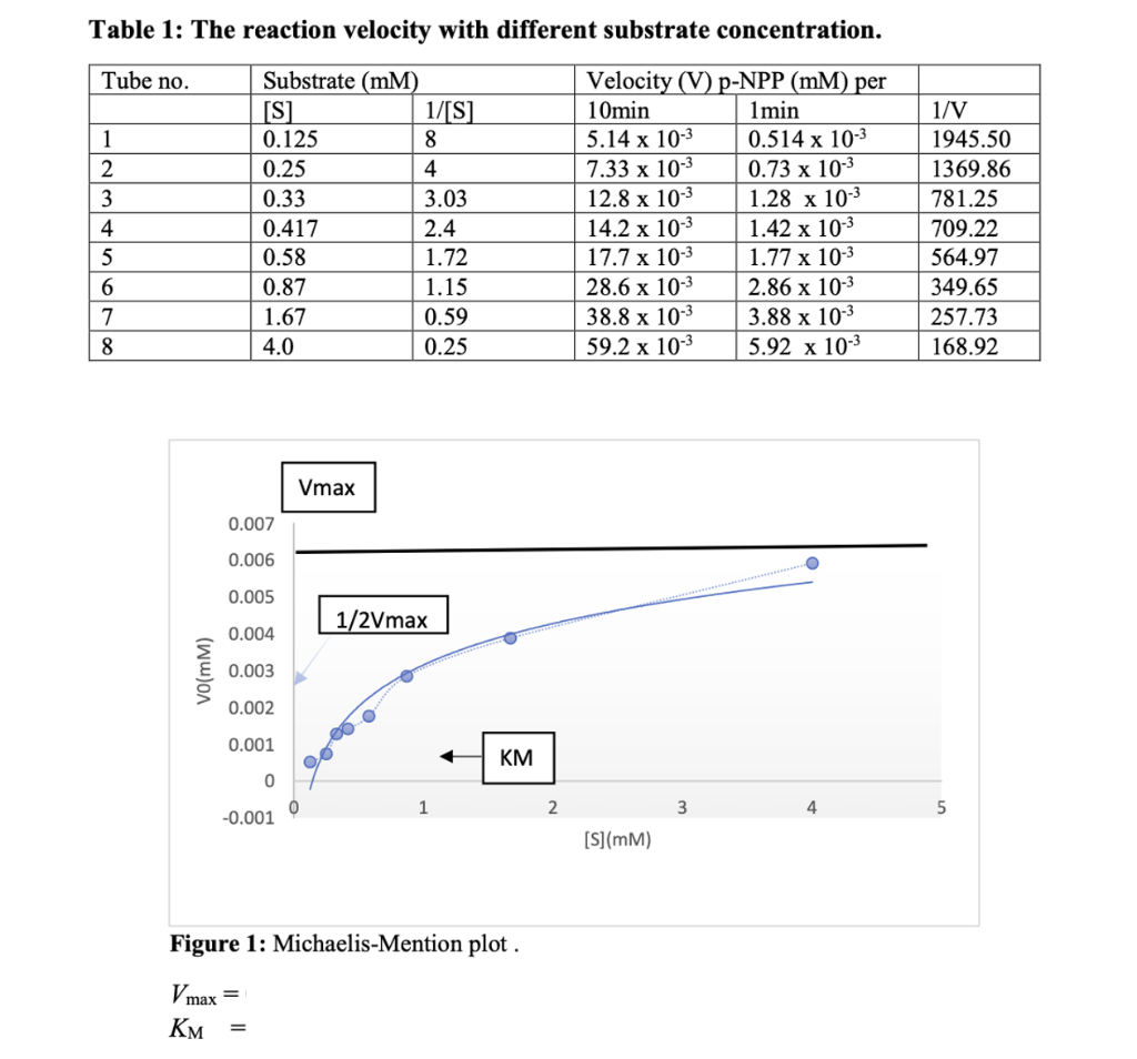 Solved Table 1: The reaction velocity with different | Chegg.com