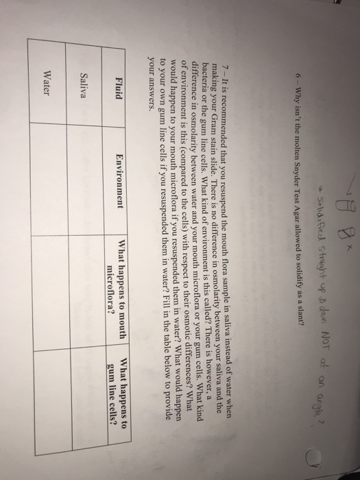 Solved on angle 6- Why isn't the molten Snyder Test Agar | Chegg.com