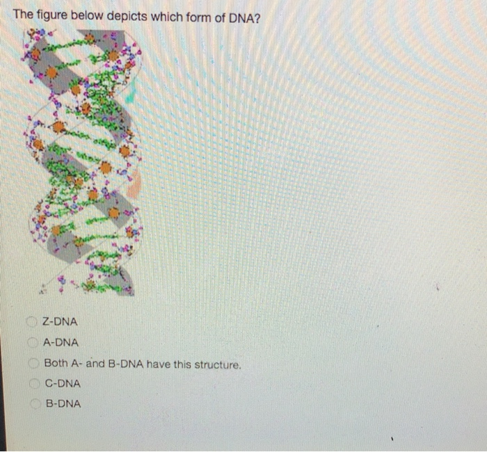 Solved The figure below depicts which form of DNA? Z-DNA | Chegg.com