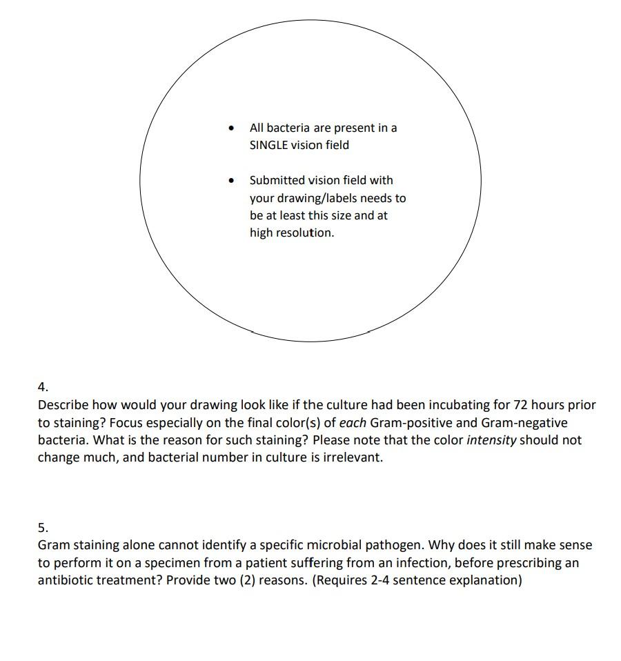 Solved GRAM STAINING WORKSHEET 1. Complete the following | Chegg.com