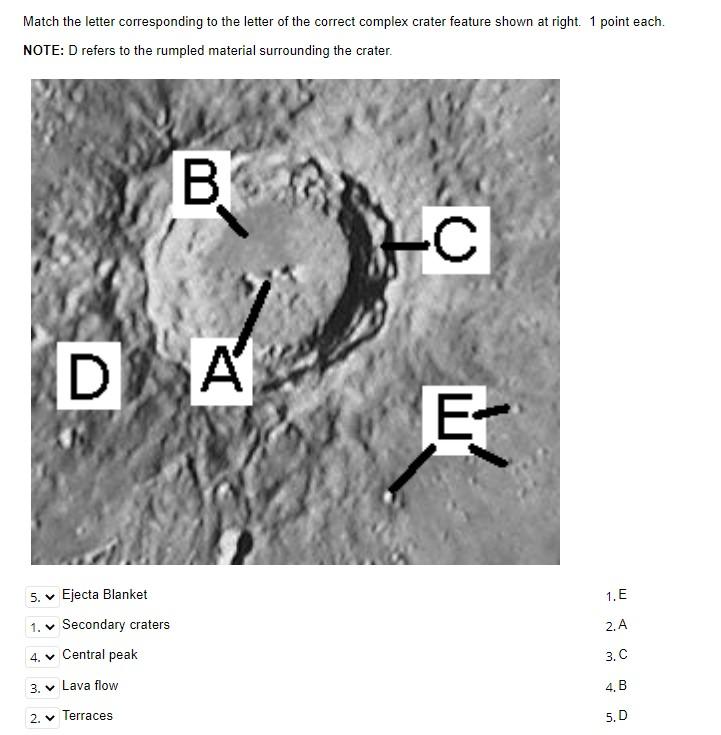 Solved Match the letter corresponding to the letter of the | Chegg.com